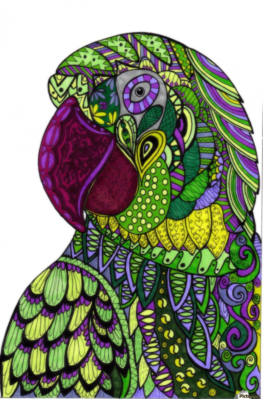 Parroting by Susan Watson Wall Art